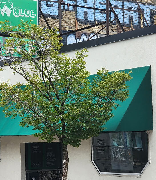 minnesota bar night performances ftr