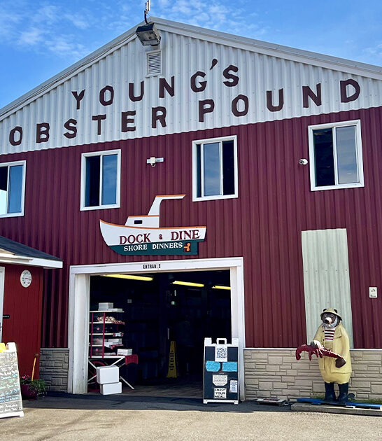 most mouthwatering lobster maine FTR