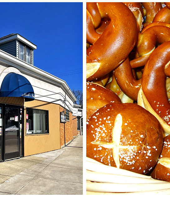 mouthwatering pretzels illinois ftr
