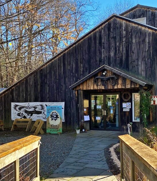 museum bird carving vermont FTR