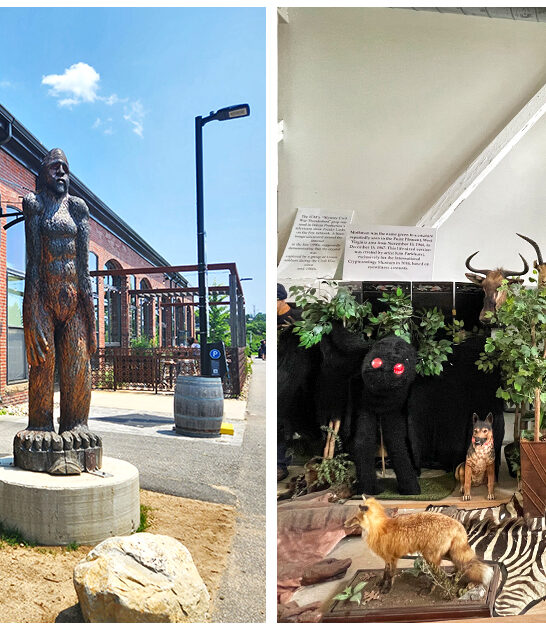 mysterious bizarre attractions maine ftr