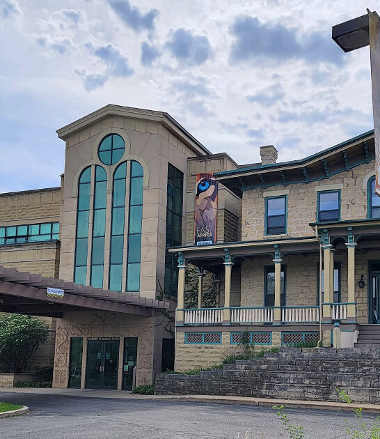 natural wonders museum illinois ftr