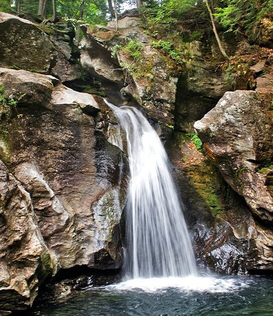 nature filled trip vermont FTR