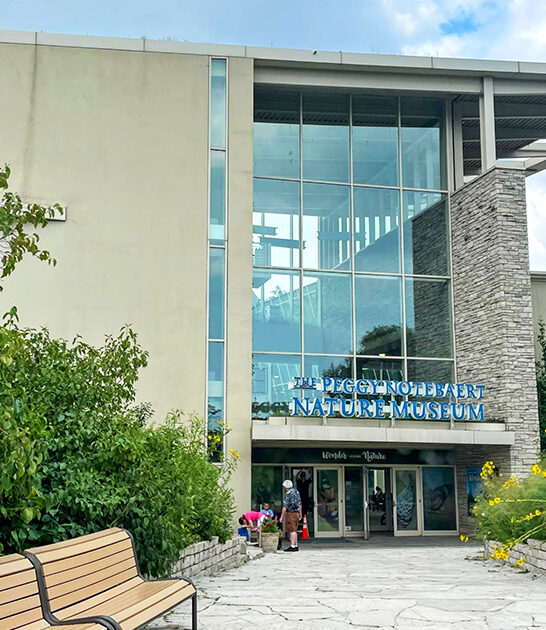 nature museum illinois ftr