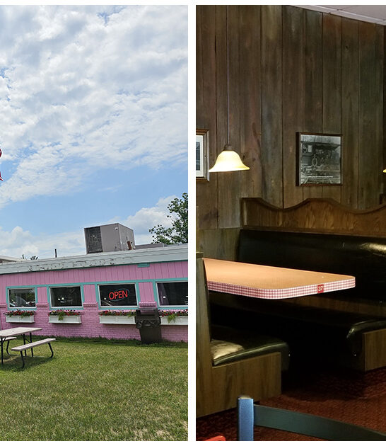 nostalgic drive ins michigan ftr