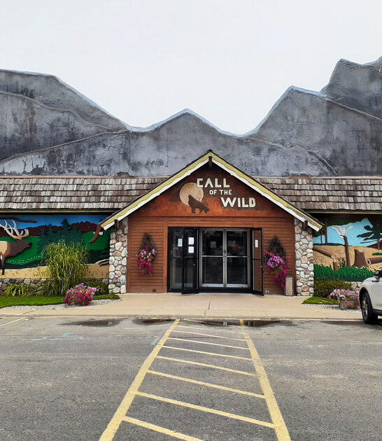 nostalgic taxidermy museum michigan ftr