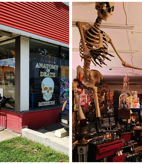 odd michigan places ftr