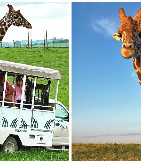 ohio fascinating animal encounters ftr