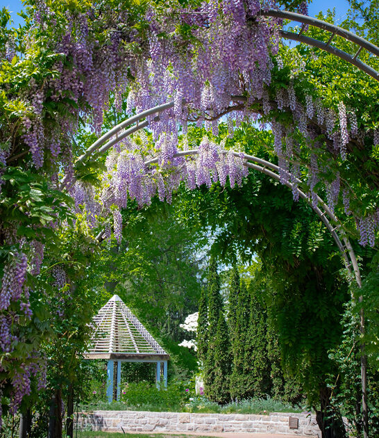 ohio hidden fairytale gardens ftr