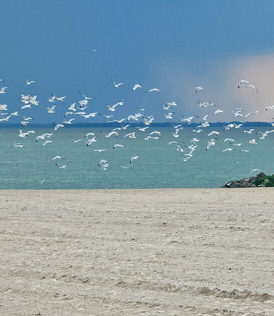 ohio most breathtaking beaches ftr