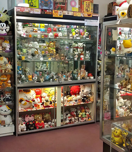 ohio quirky cat museum ftr