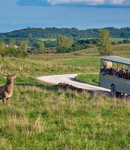 ohio unforgettable day trips ftr