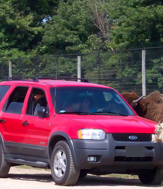 ohio wildlife road trip ftr