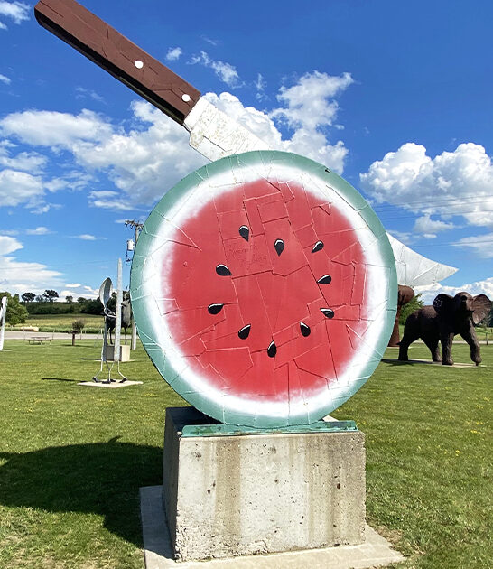 outdoor art minnesota park ftr