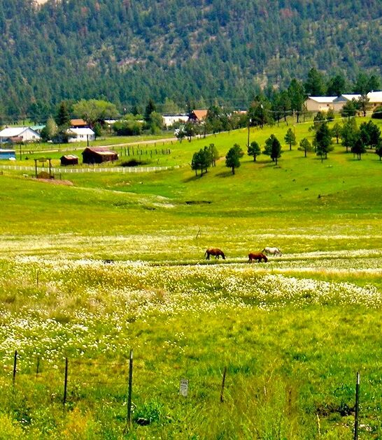 picture perfect towns arizona ftr