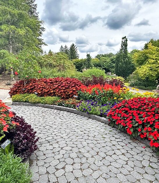 picturesque garden minnesota FTR