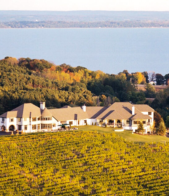 picturesque michigan wineries ftr