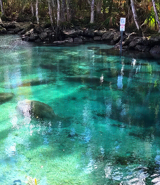 picturesque park florida ftr