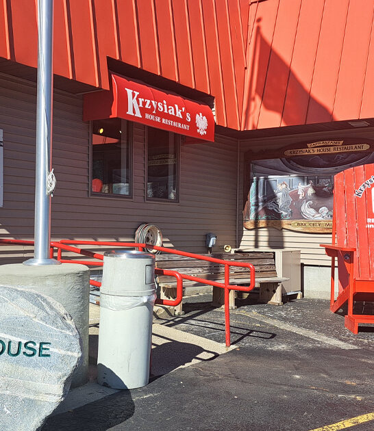 polish restaurant chicken michigan ftr