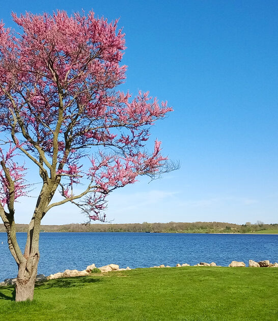 postcard worthy park ohio ftr