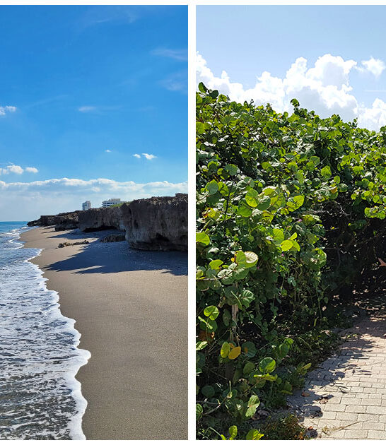 postcard worthy shorelines florida ftr