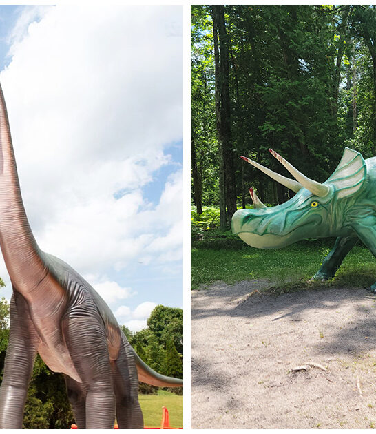 prehistoric adventures michigan ftr