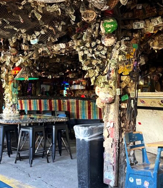 quirky florida bars decor ftr