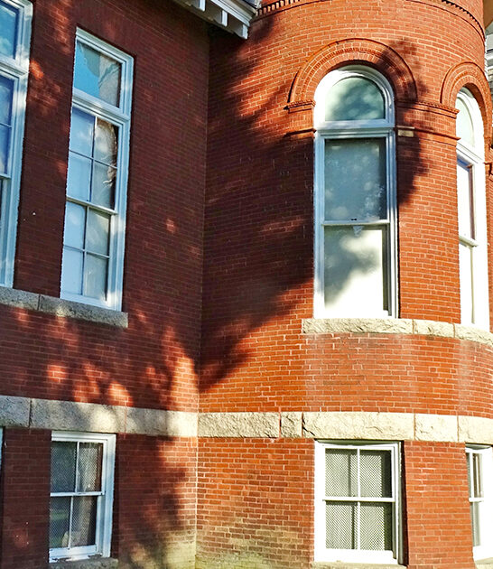 quirky maine museum taxidermy ftr