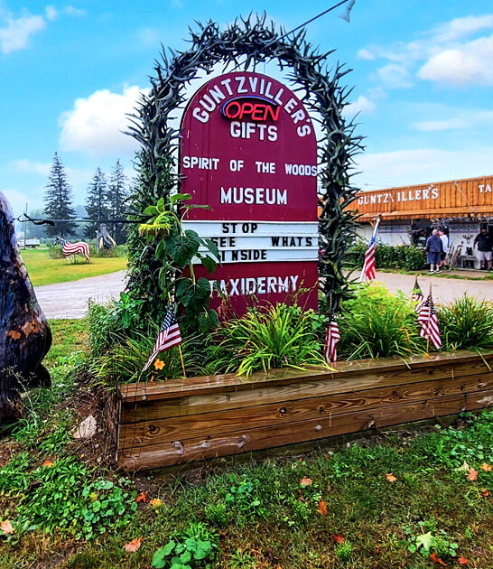quirky michigan museums weird ftr