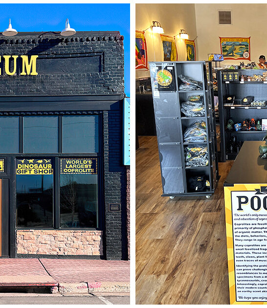 quirky museums arizona ftr