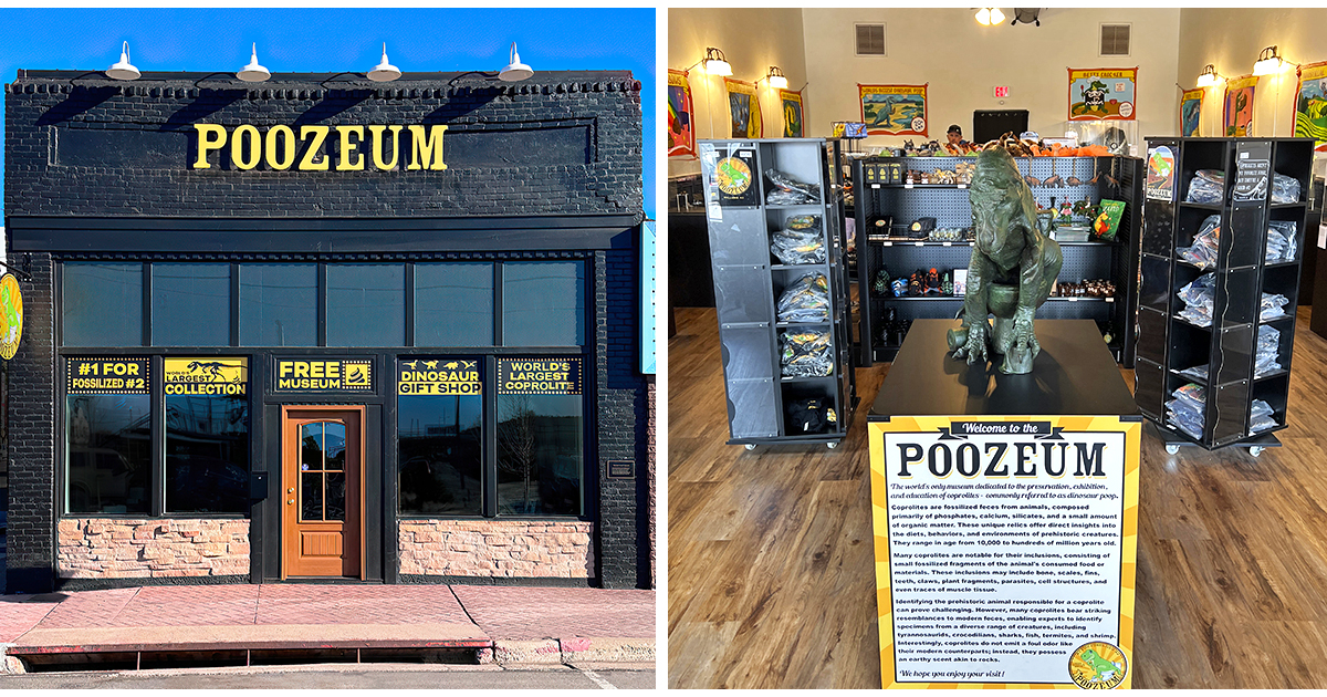 10 Quirky Museums In Arizona That Will Leave You Scratching Your Head