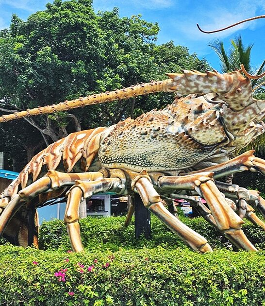 quirky roadside attractions florida ftr