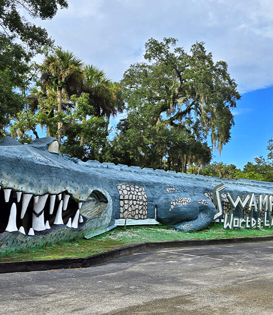 quirky roadside zoo florida ftr