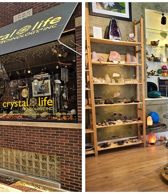 quirky shopping illinois ftr