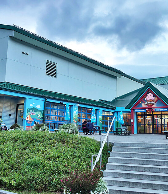 quirky shops vermont FTR