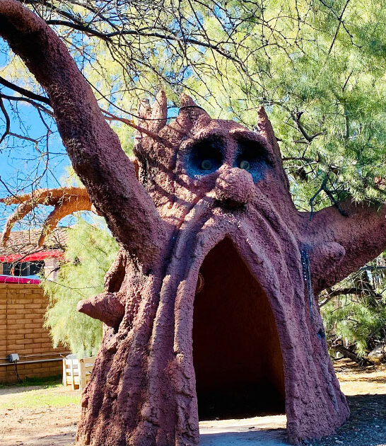 quirky spots arizona ftr