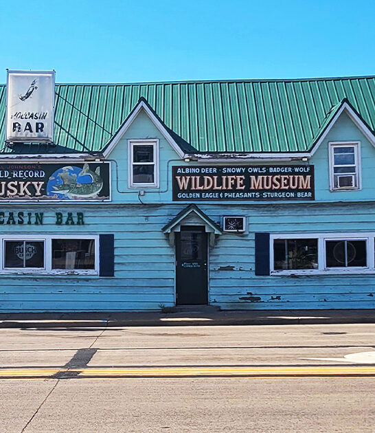 quirky taverns wisconsin ftr