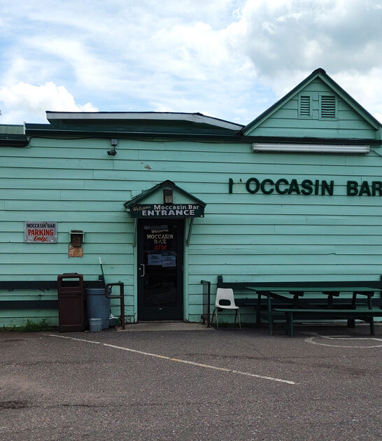 quirky taxidermy bar wisconsin ftr