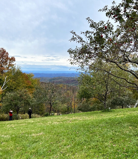 scenic farm vermont FTR