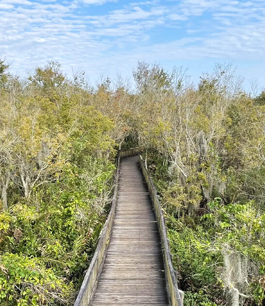 scenic hiking trail florida ftr