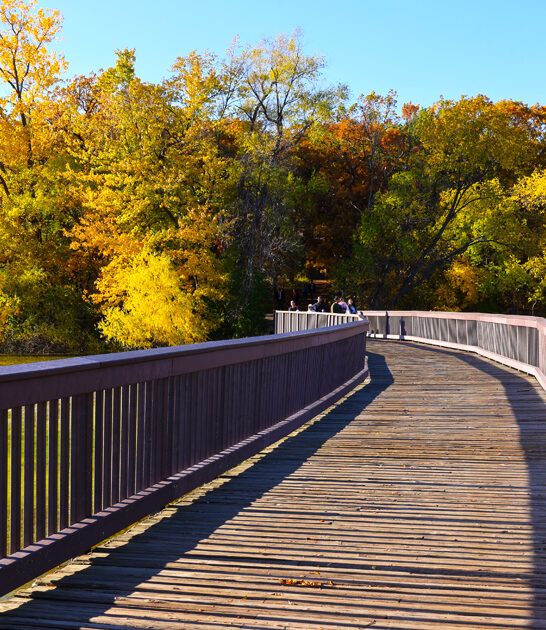 scenic minnesota trip FTR