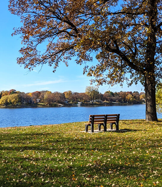 scenic park minnesota FTR