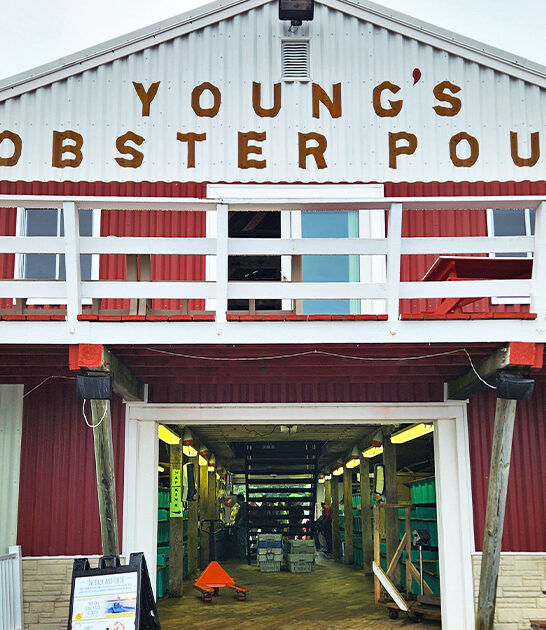 seafood joints maine FTR