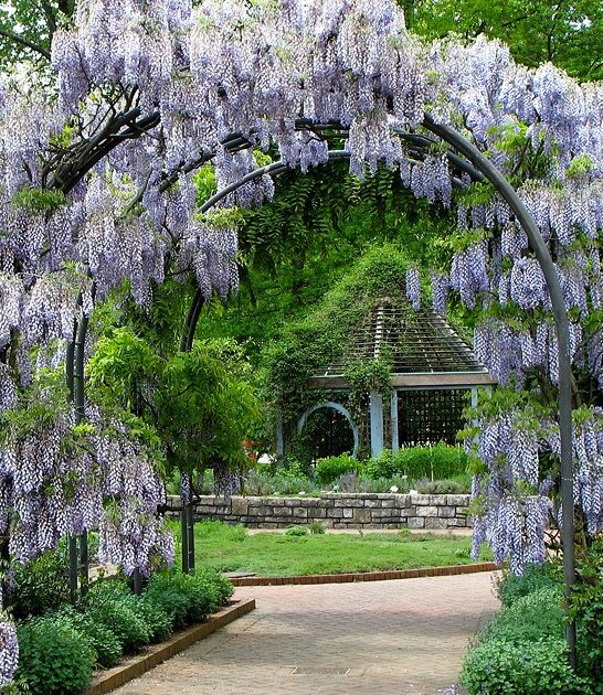 secret storybook garden ohio ftr