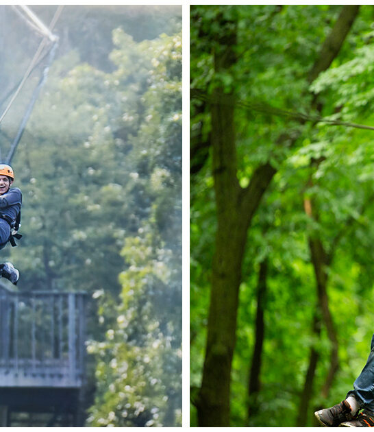 sky high trip wisconsin ftr