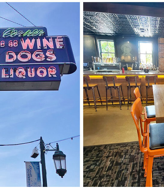 spots michigan chili dogs ftr