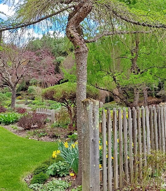 stunning botanical garden vermont FTR