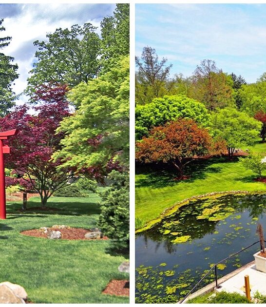 stunning botanical oasis ohio ftr