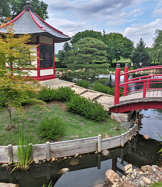 stunning hidden oasis minnesota ftr