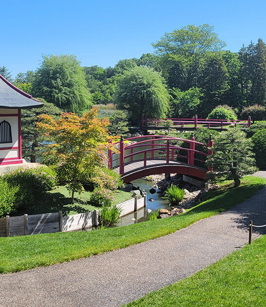 stunning japanese garden minnesota ftr